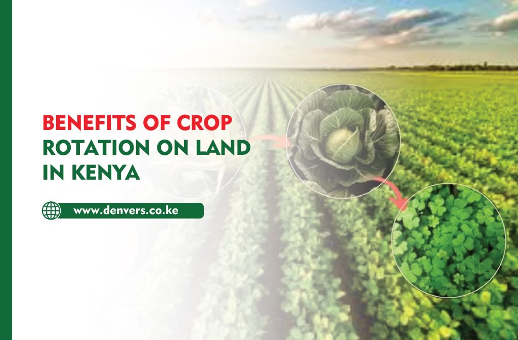Benefits of Crop Rotation on Land in Kenya - Denvers Group Ltd | Plots ...